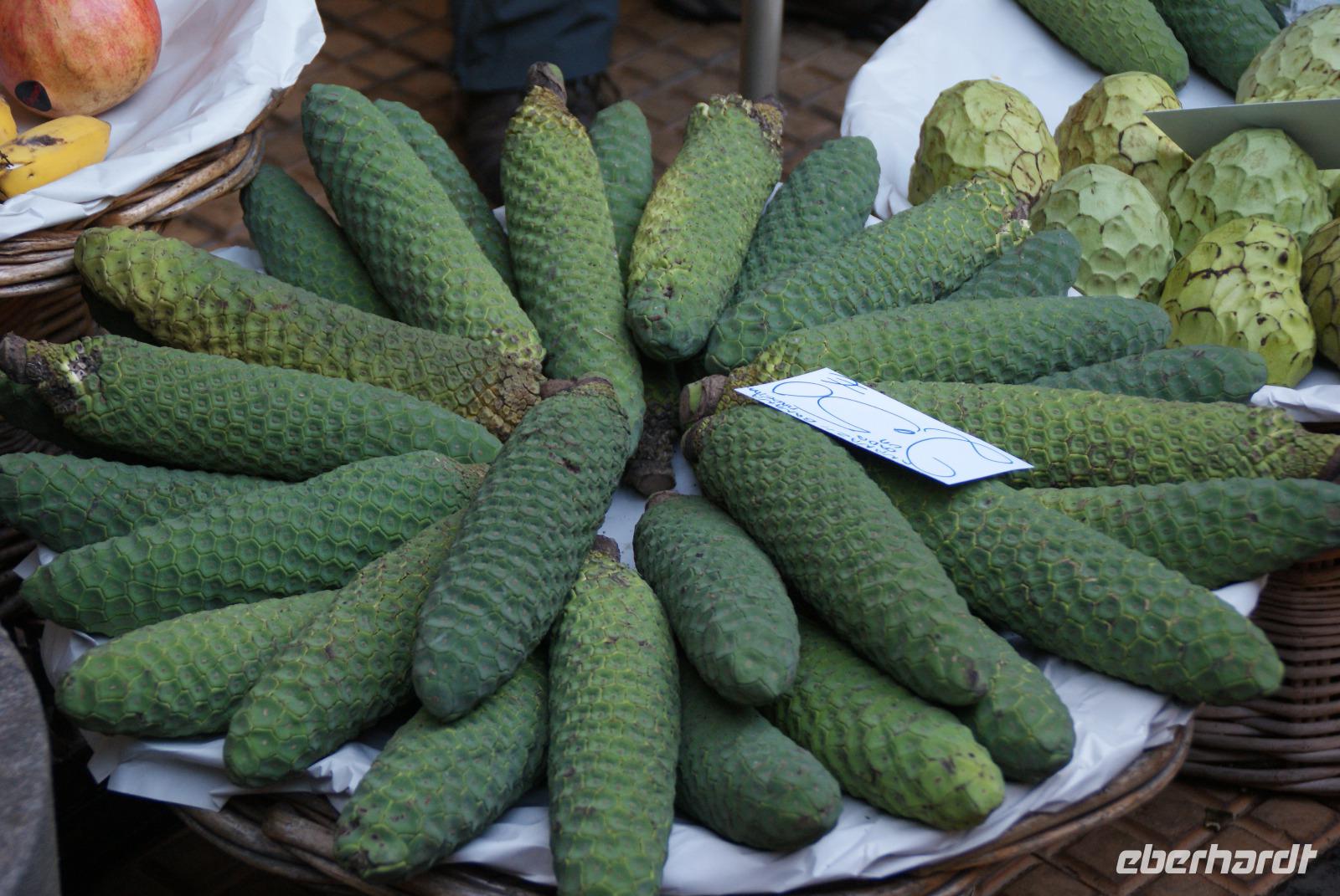 Reisebericht: Silvesterreise auf der Blumeninsel Madeira, 26.12. - 02. ...